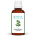 Pine Essential Oil 100% Pure - Organic Aromas