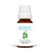 Sweet Basil Essential Oil 100% Pure - Organic Aromas