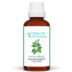 Sweet Basil Essential Oil 100% Pure - Organic Aromas