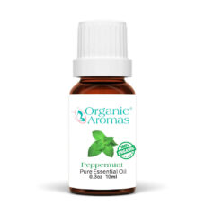 5 Amazing Peppermint Benefits for Focus and Calm