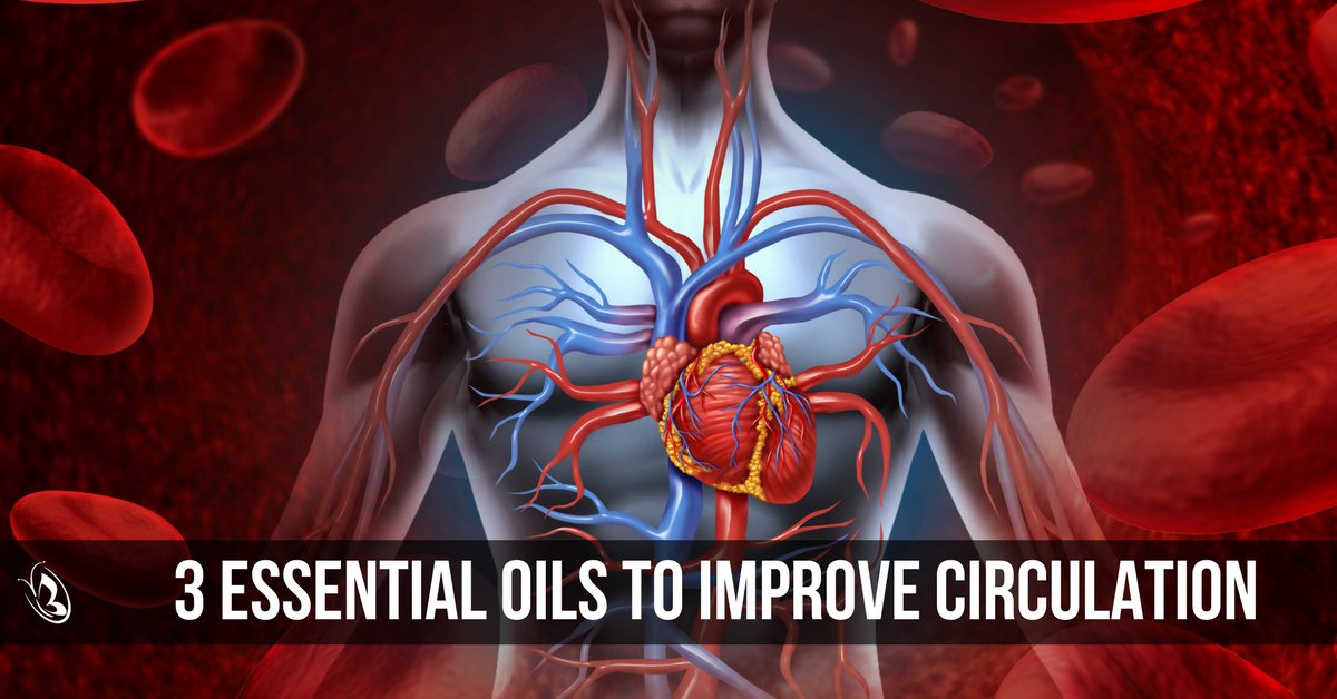 3 Essential Oils to Improve Circulation - Organic Aromas®