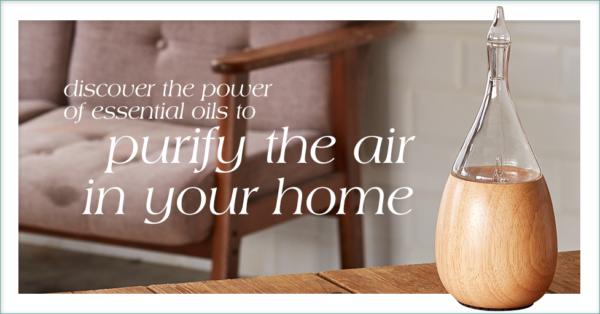Discover The Power Of Essential Oils To Purify the Air in Your Home ...