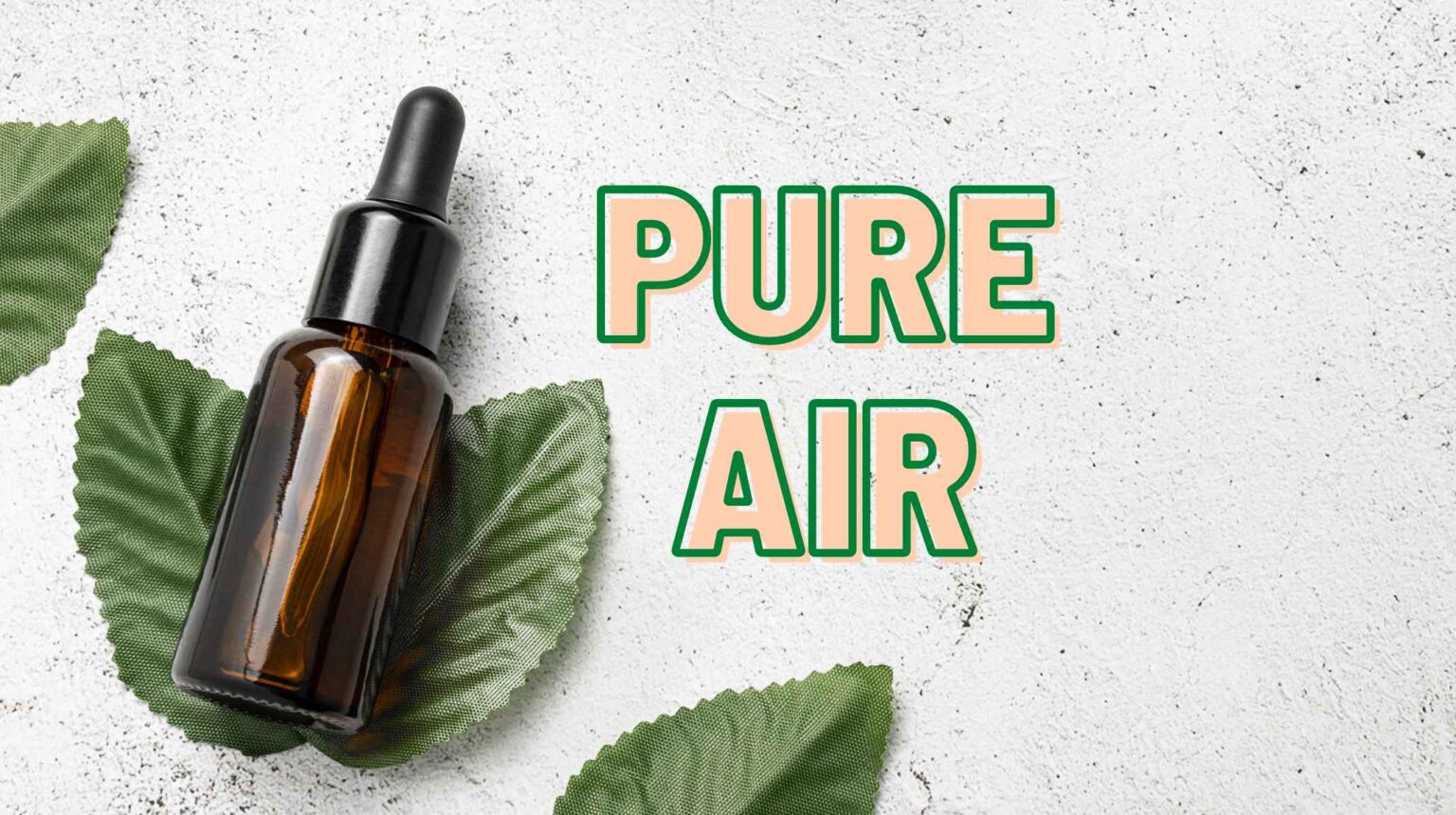 Discover The Power Of Essential Oils To Purify the Air in Your Home ...
