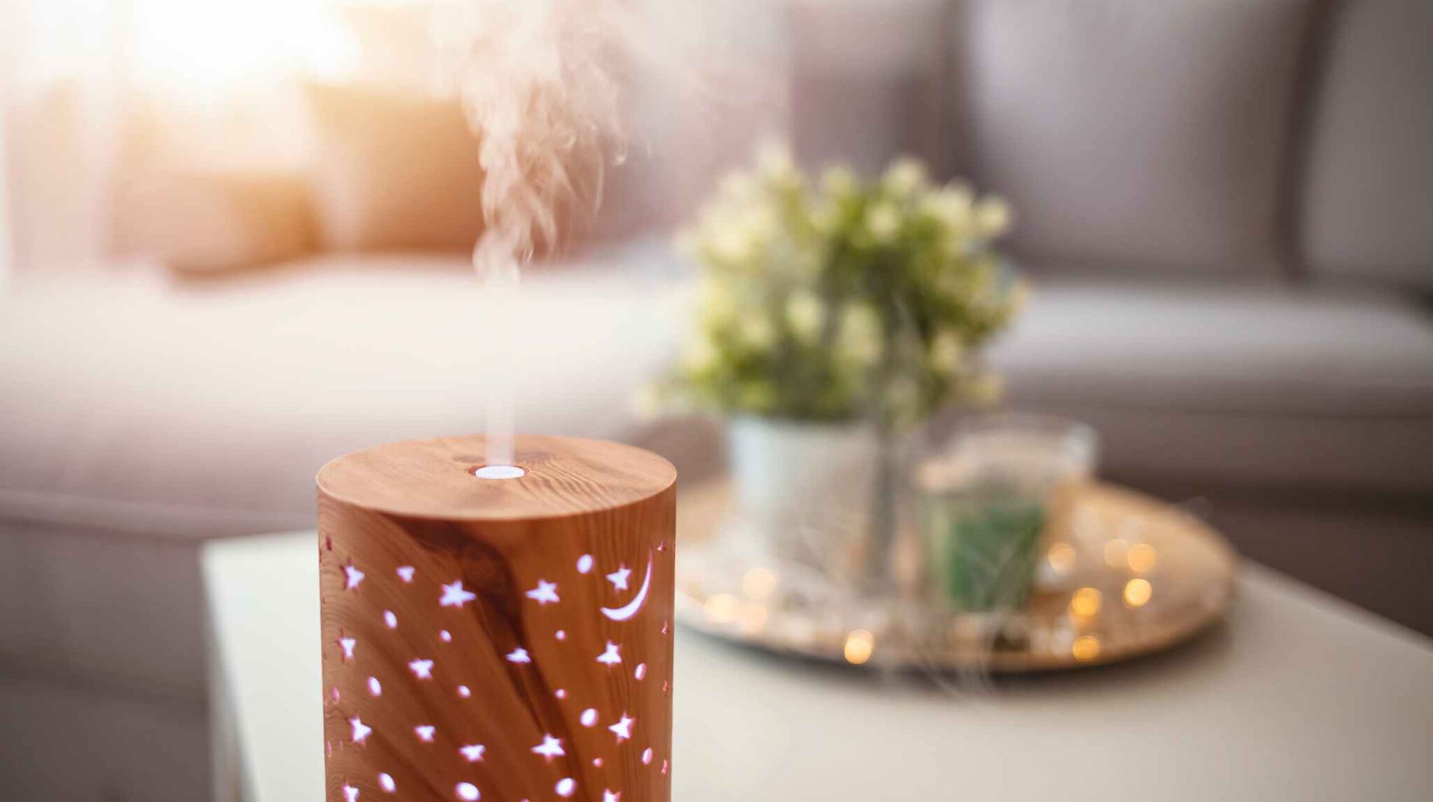 Discover The Power Of Essential Oils To Purify the Air in Your Home